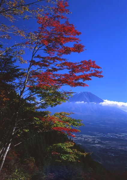 02: Japan’s Geographical Features ｜ 24：日本の紹介（Introduction of Japan）